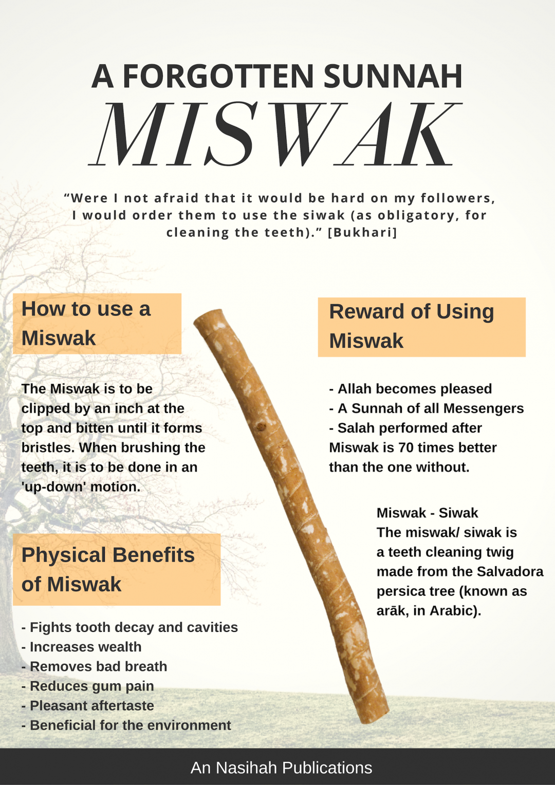 Miswak Poster | An Nasihah Publications